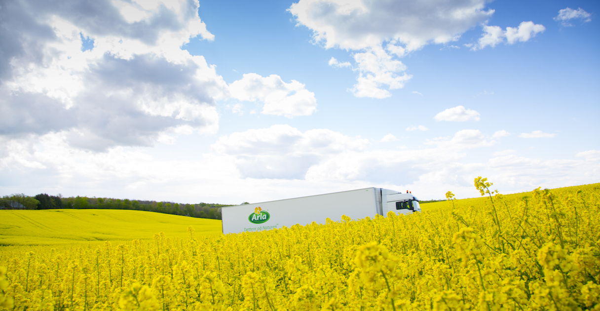 Mere Arla til Hjaltelin Stahl - Dansk Markedsføring