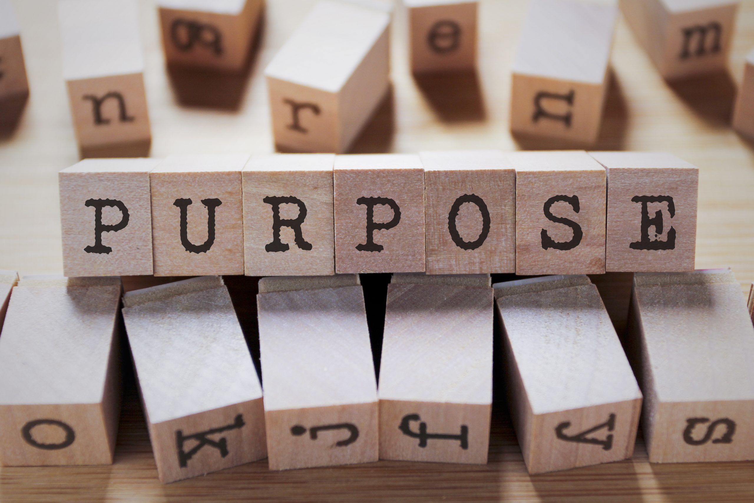 Debat: Har du et corporate purpose, et corona-purpose eller et party ...