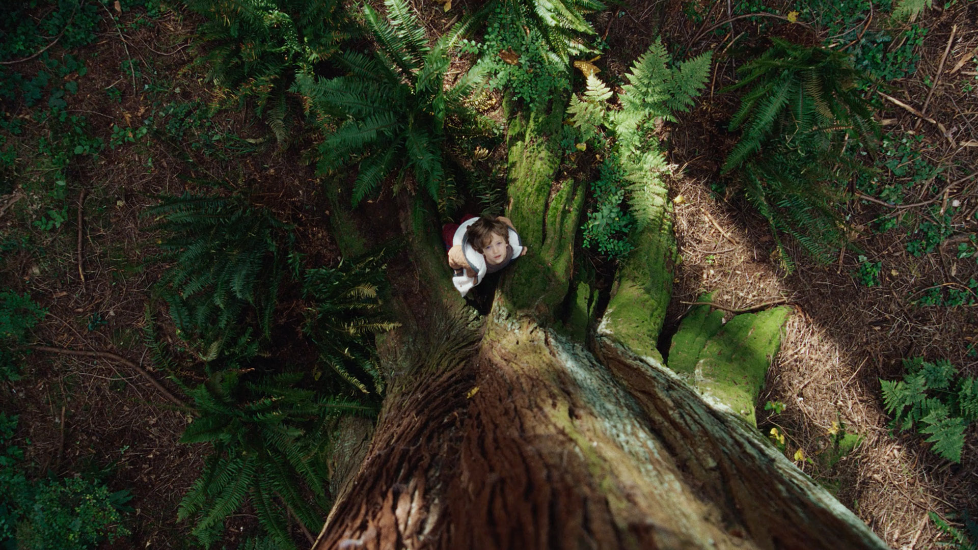 Instruktør bag ny Volvo-film: At lave film er som at lege - Dansk ...